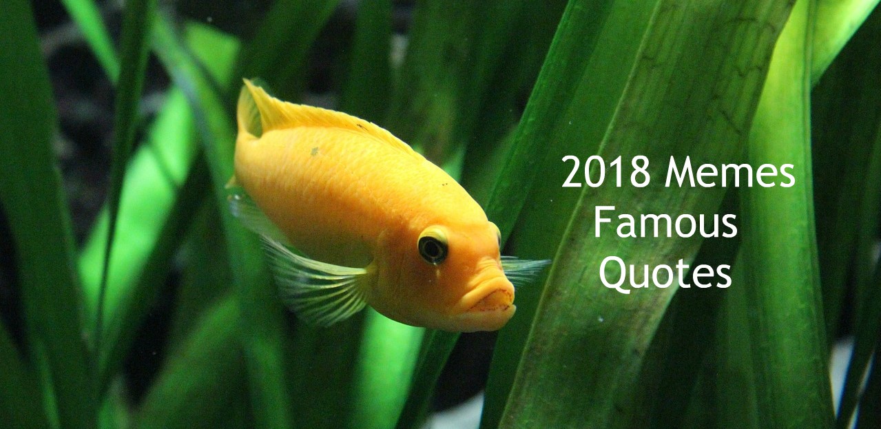 2018 Memes: Famous Quotes » The Faithful Wanderer