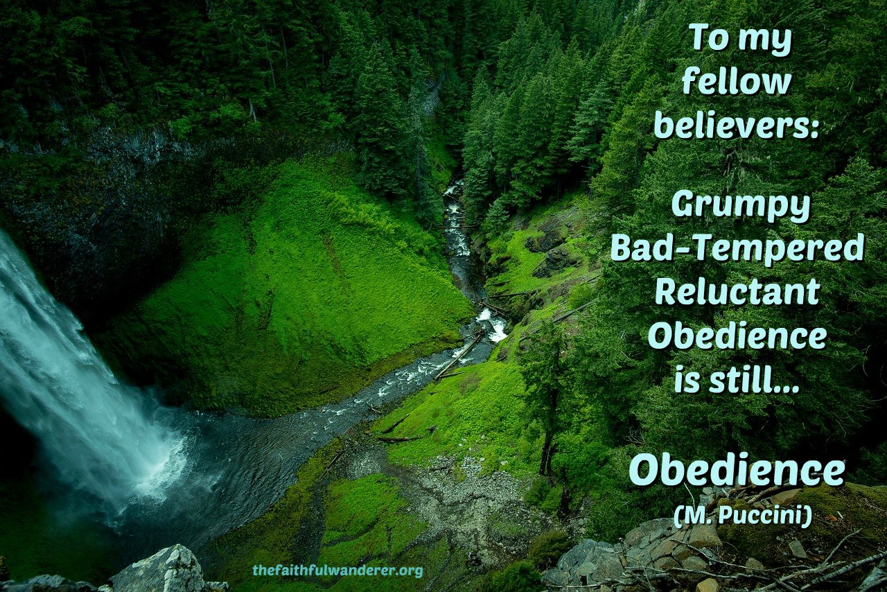 Godly Obedience with a Bad Attitude » The Faithful Wanderer
